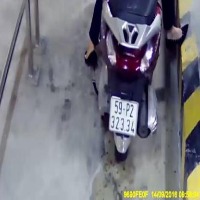 YOLOv8 number plate detection Object Detection Model by ML