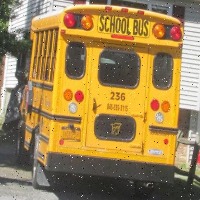 YOLOv8 number plate detection Object Detection Model by ML