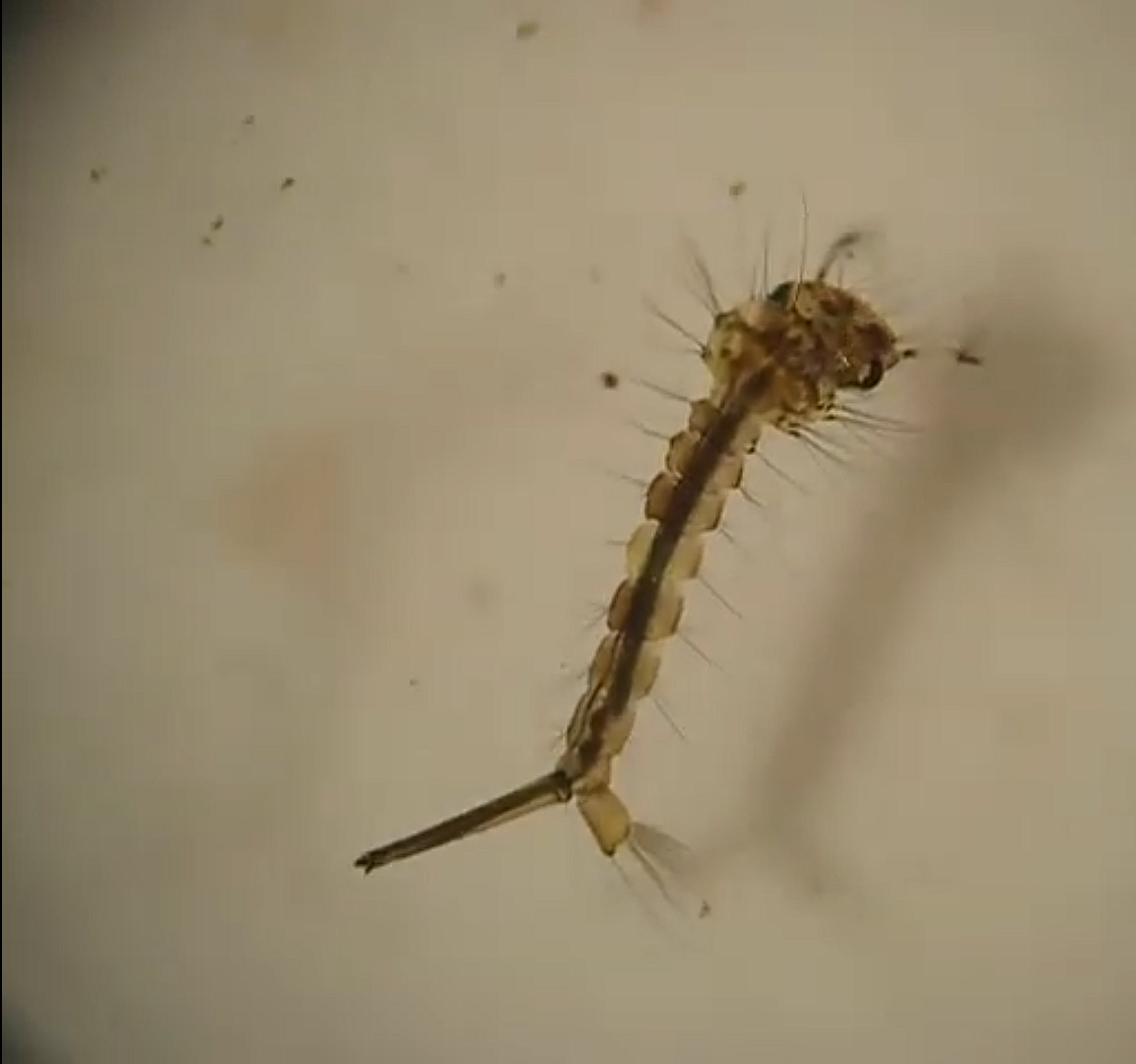 TA_VALIDATION Object Detection Dataset by TATrain