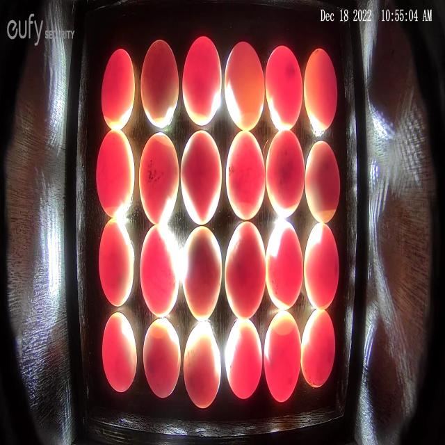 egg detection Classification Model by djr