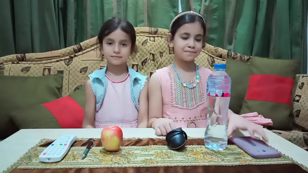 apple Object Detection Dataset and Pre-Trained Model by app