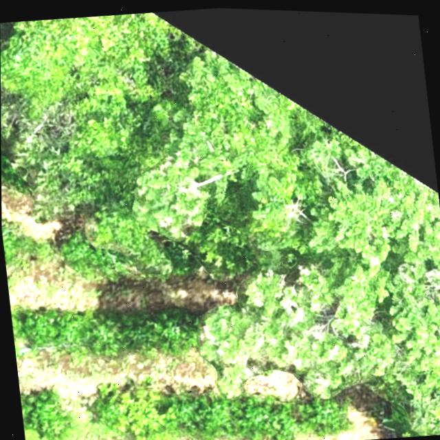 Annotation Object Detection Dataset By Detection