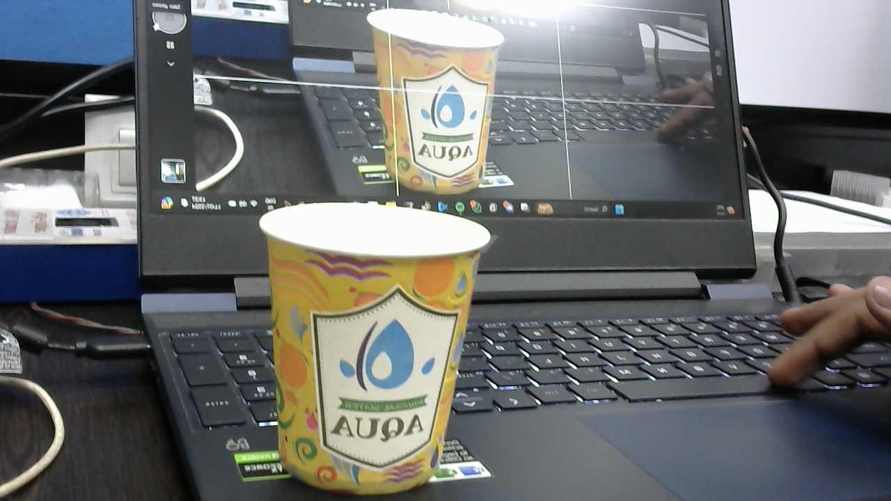 Fevicol Cup Object Detection Dataset And Pre Trained Model By Liza Arora