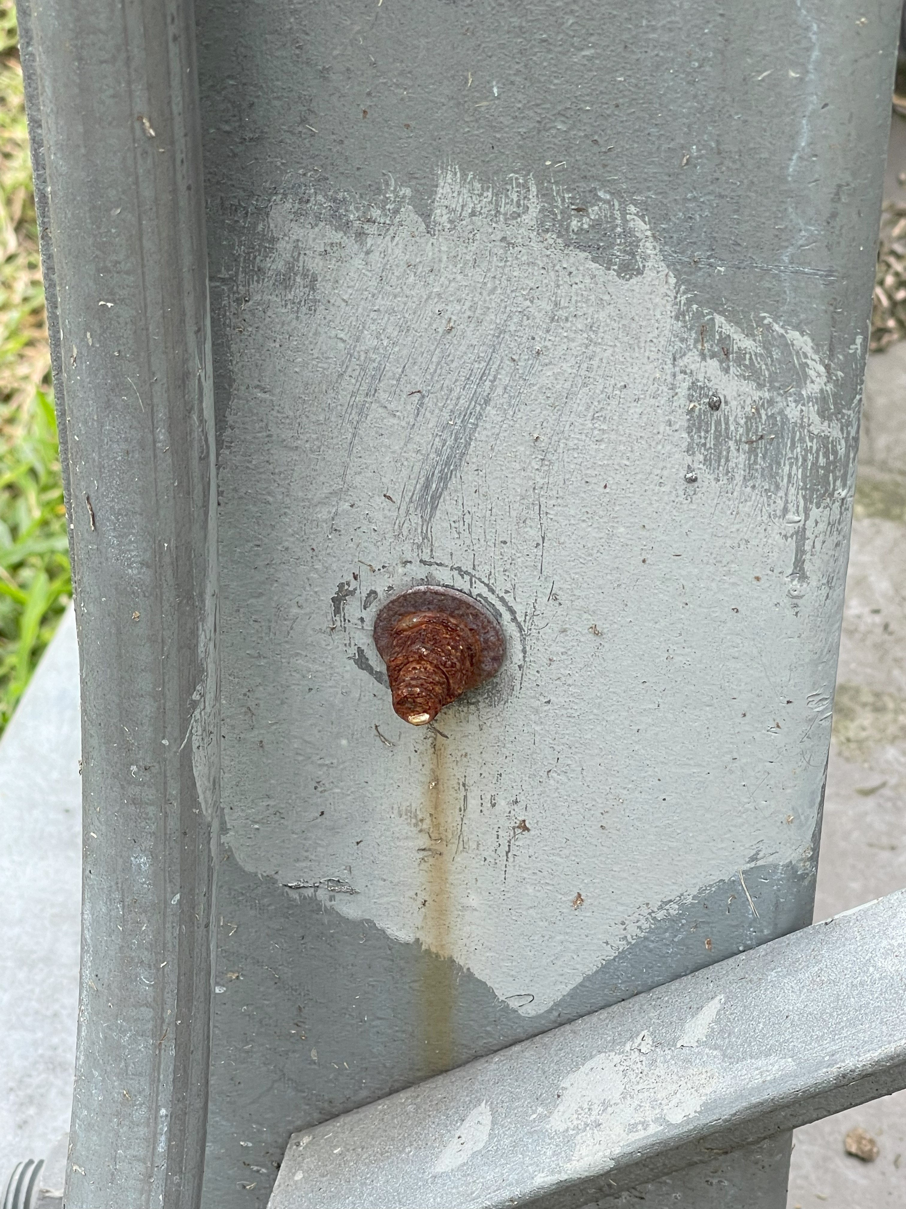 Corrosion Object Detection Model by Fase 11