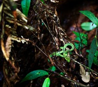 University of Sri Jayewardenepura (university-of-sri-jayewardenepura ...