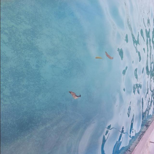 Pool Pal Object Detection Dataset By Poolpal Senior Design Group