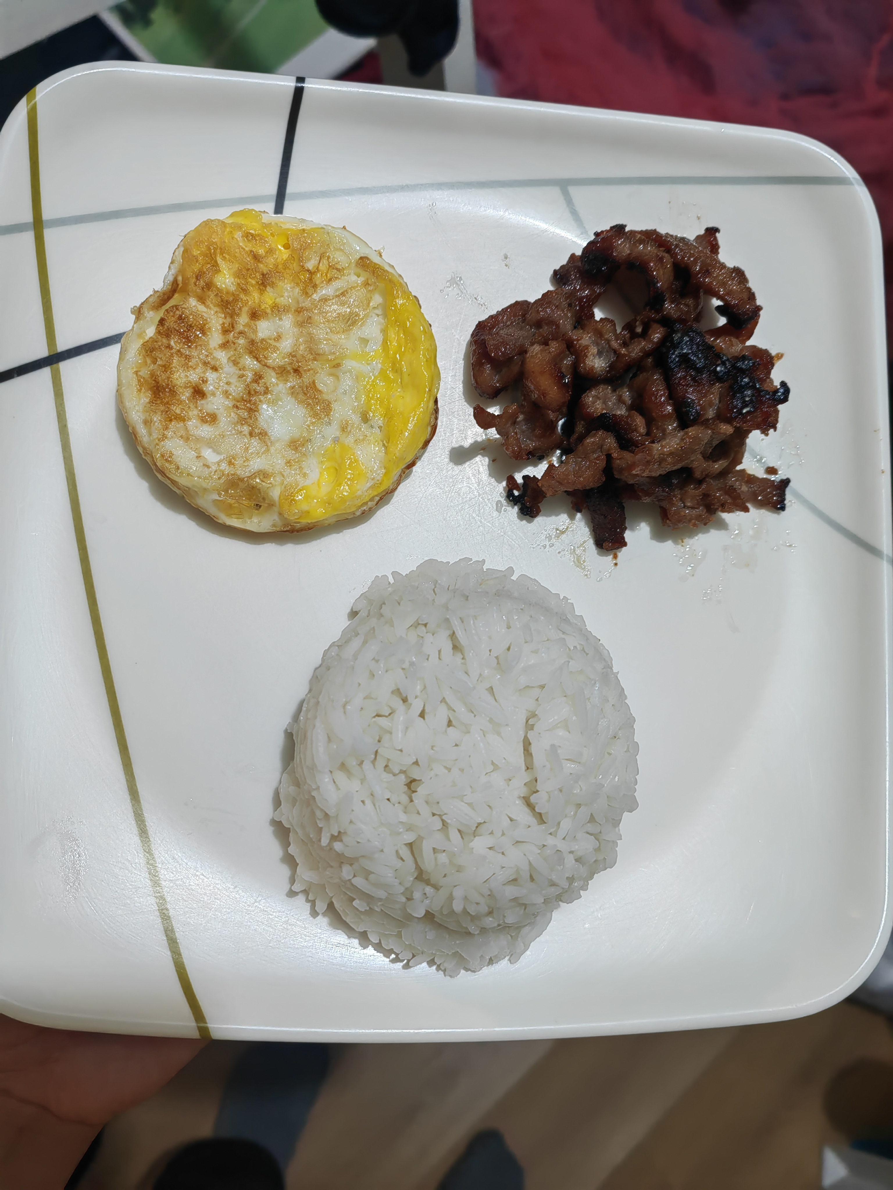 SnapSilog Instance Segmentation Model by SnapSilog