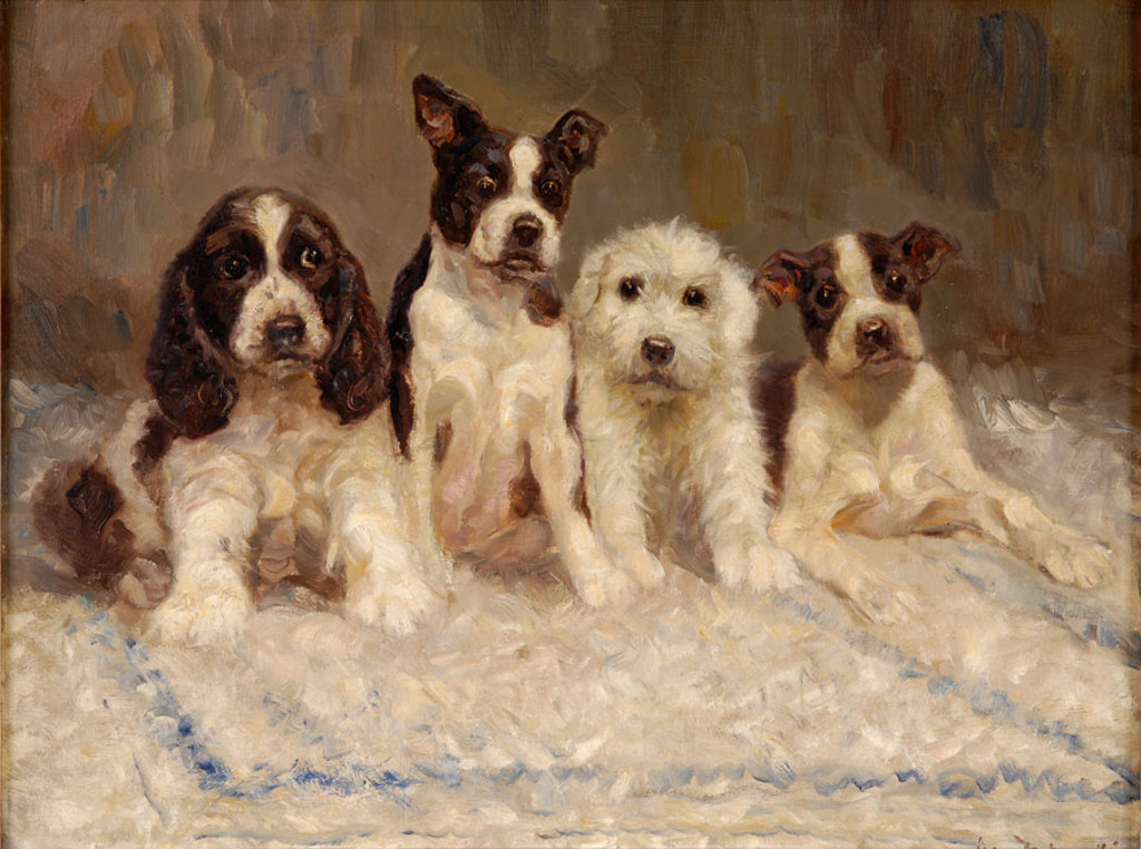 dog Object Detection Dataset by dog