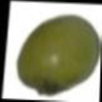 Quan Hong - Roboflow Universe