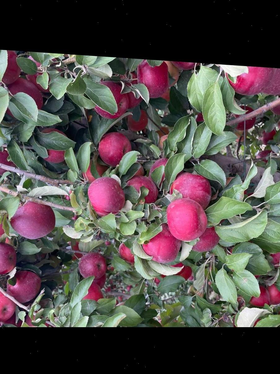 clr - Roboflow Universe