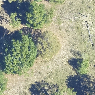 gpo/ai Object Detection Dataset by gpo