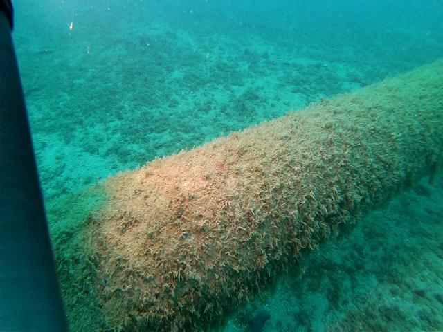 Detecting Subsea Pipelines Testing Object Detection Dataset By Pes