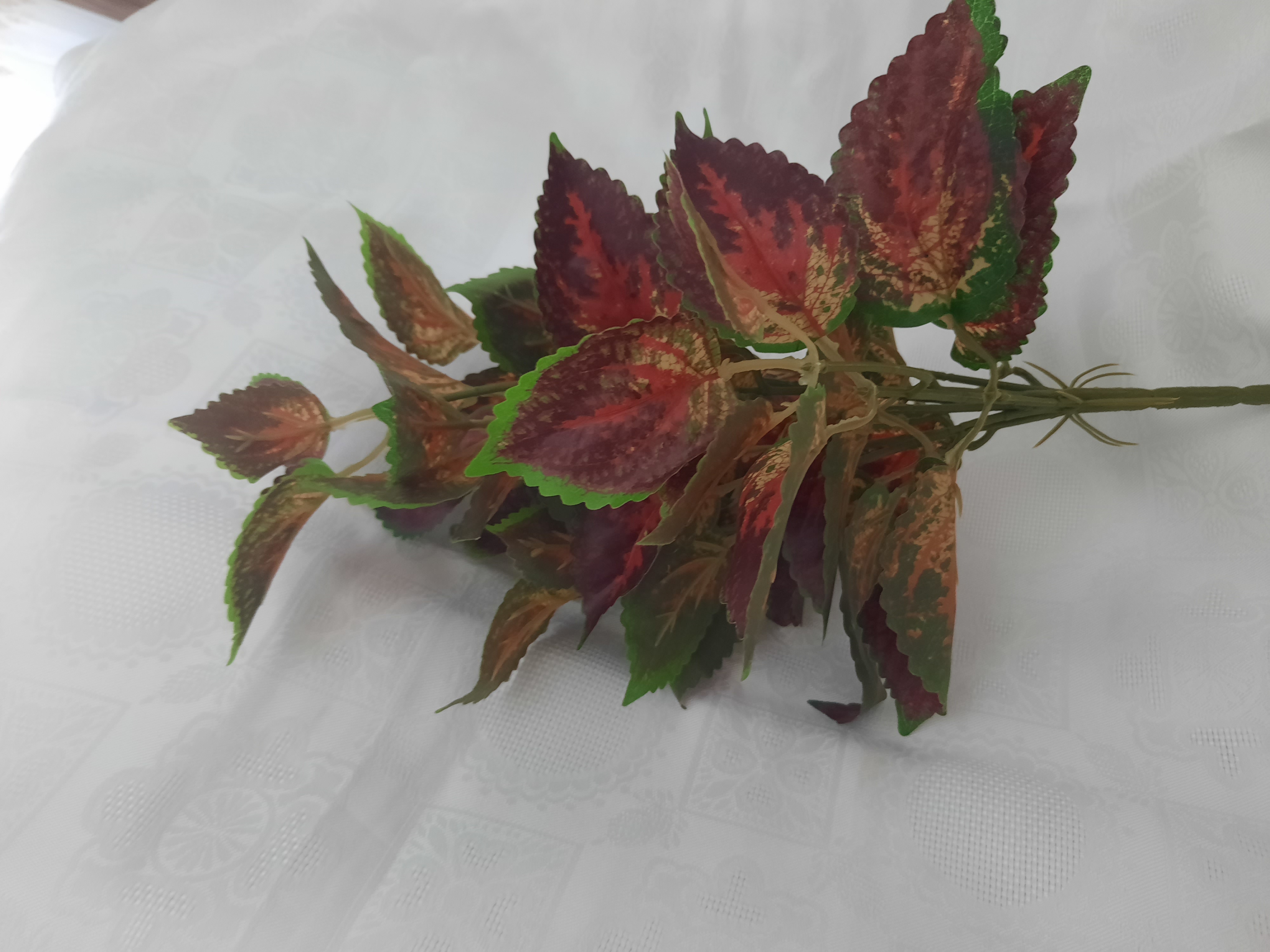 Yabani Bitki Object Detection Dataset By Plant2