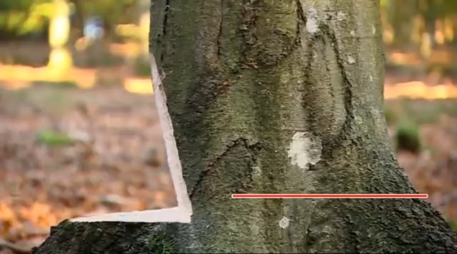 Chainsaw detection Object Detection Dataset by Andrey Kondakov