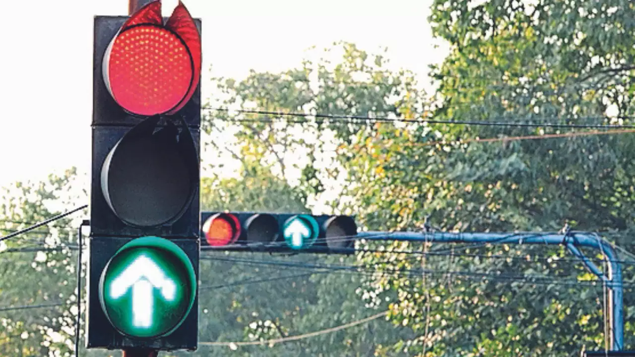 yolov8 Instance Segmentation Dataset and Pre-Trained Model by shraddhapansare