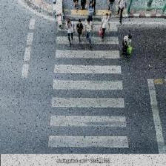 Tcc Dataset Object Detection Dataset And Pre Trained Model By Tcc