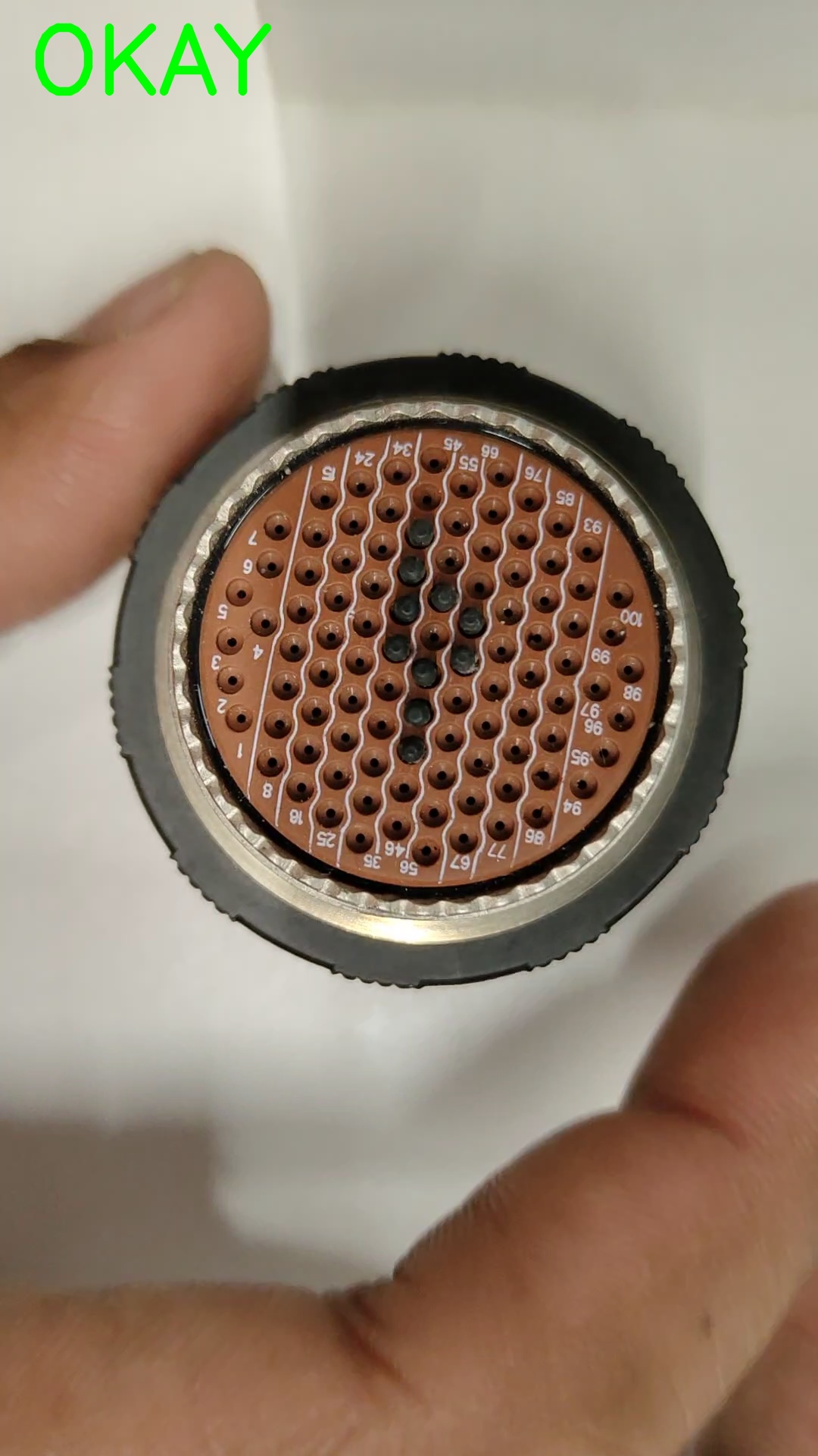 demoC Instance Segmentation Dataset by Elansol