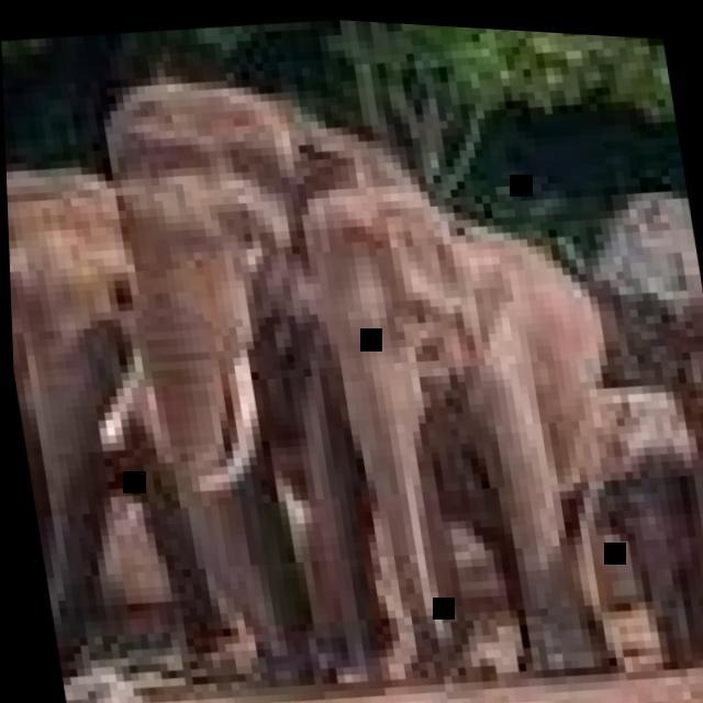 Cow Vs Elephant Object Detection Dataset And Pre Trained Model By Lambda