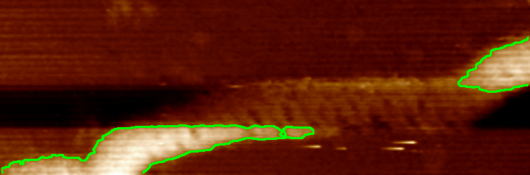 DNA Object Detection Dataset by DDD