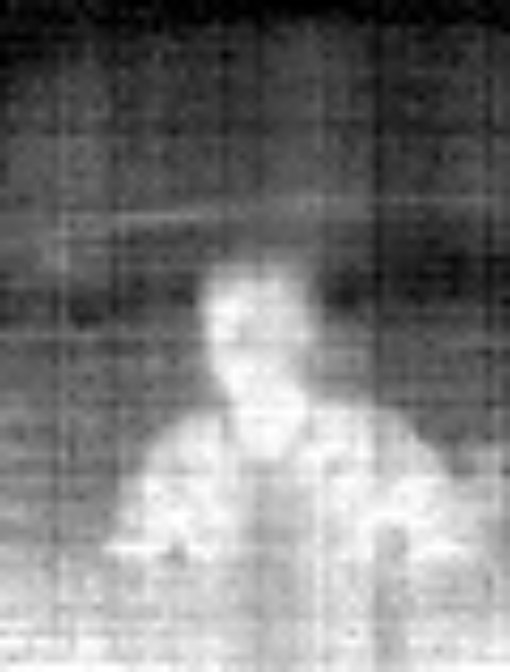 Thermal Imaging Object Detection Dataset By Thermal Imaging