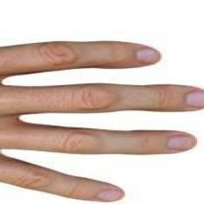 fingerprint detection Object Detection Model by lquintero07