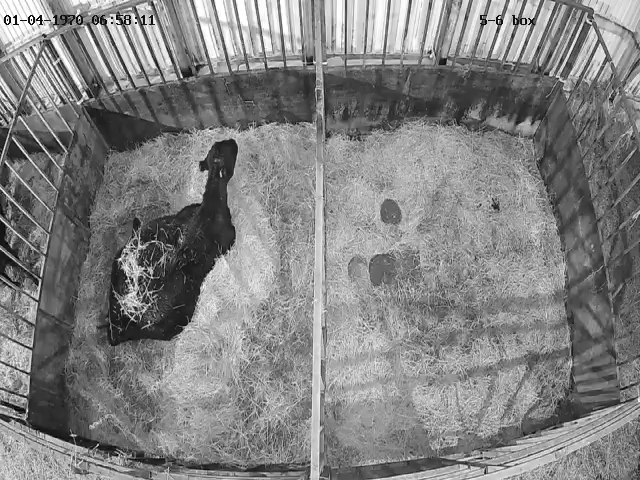 cs Object Detection Dataset by sb