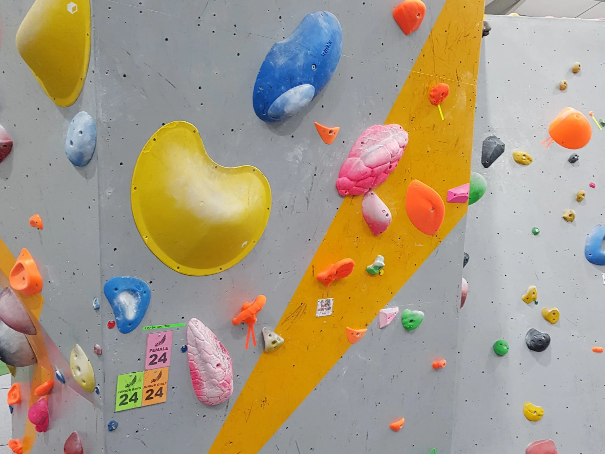 Climbing Holds Detector Object Detection Model by Gabriel Murry