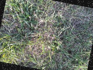 How to Use the grass model Object Detection API