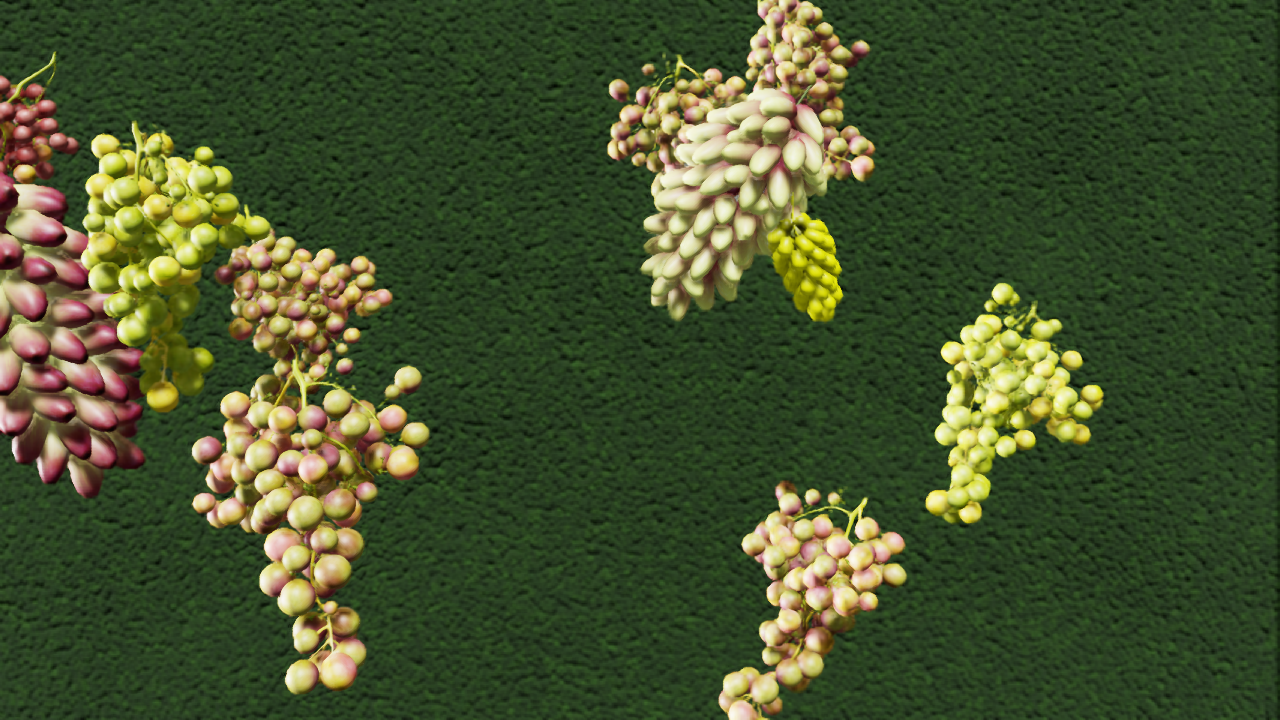 mixed_4 Object Detection Dataset and Pre-Trained Model by Progetto LAB AI Syntetic Data Grape ...