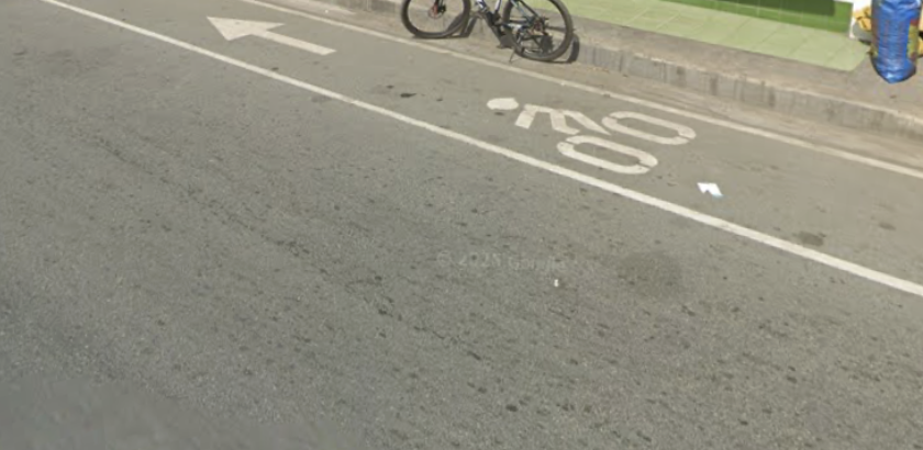 bicycle-lane-segmentation Instance Segmentation Dataset and Pre-Trained Model by ThesisIntrusion