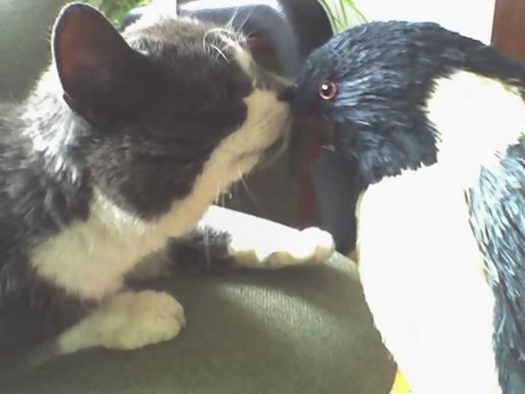 mc Object Detection Dataset by hung