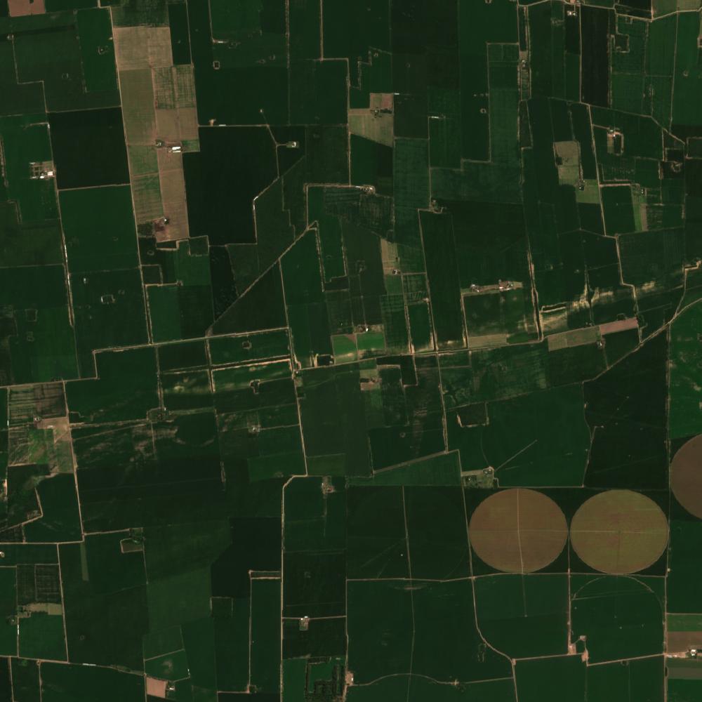 water-fields Instance Segmentation Dataset and Pre-Trained Model by fields