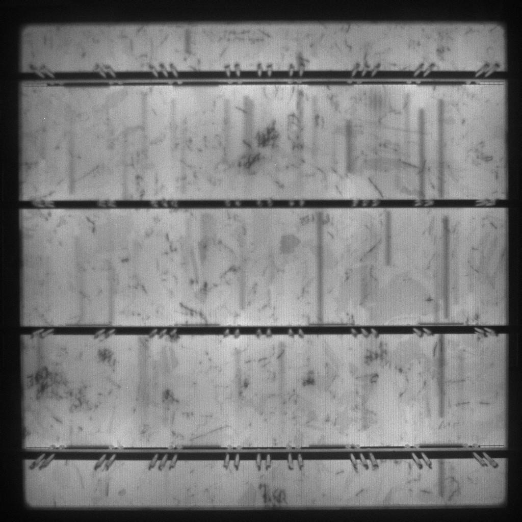 EL2021_Seg Instance Segmentation Dataset by misaka