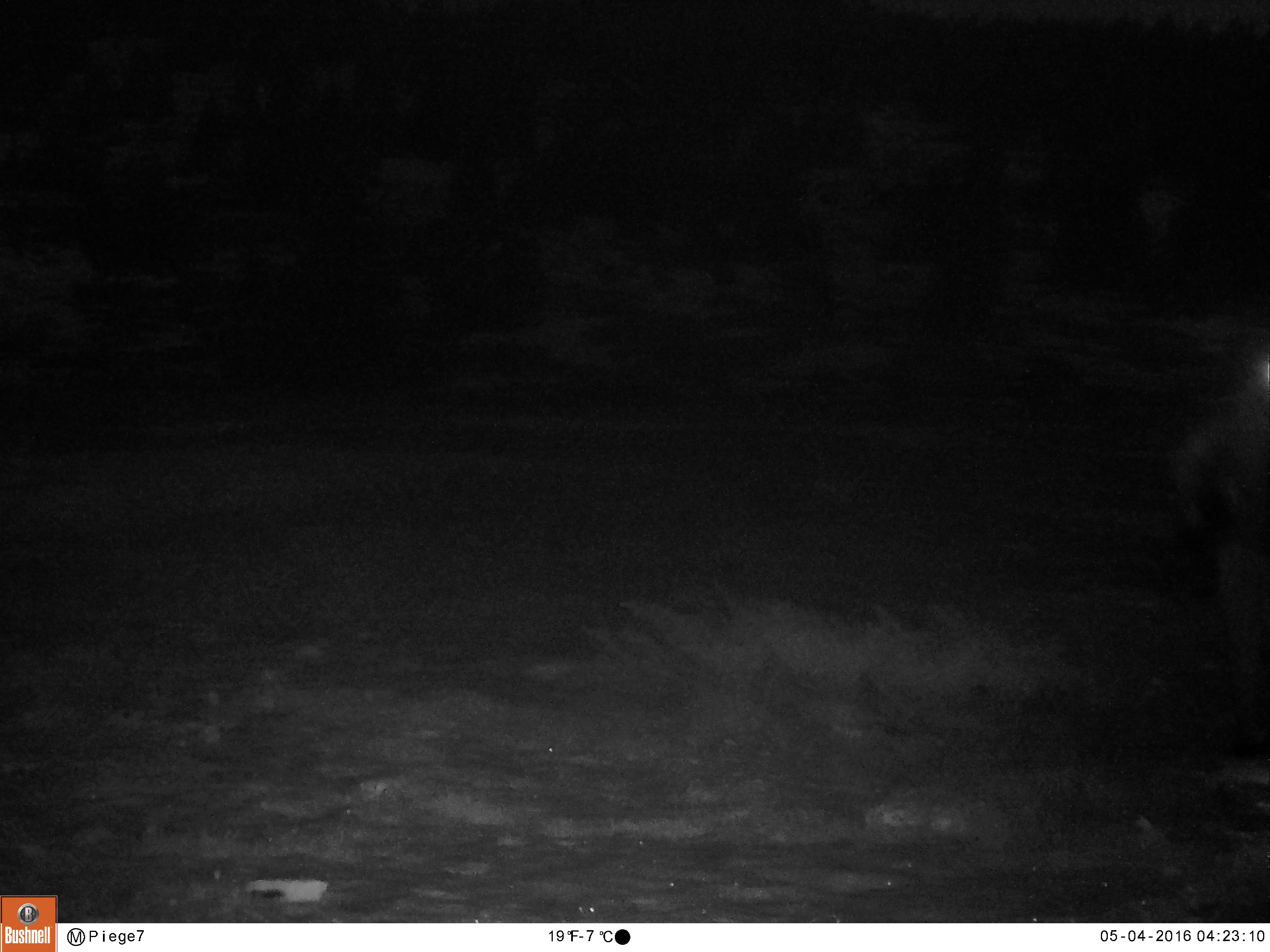 Tetra Project Object Detection Model by TD Info