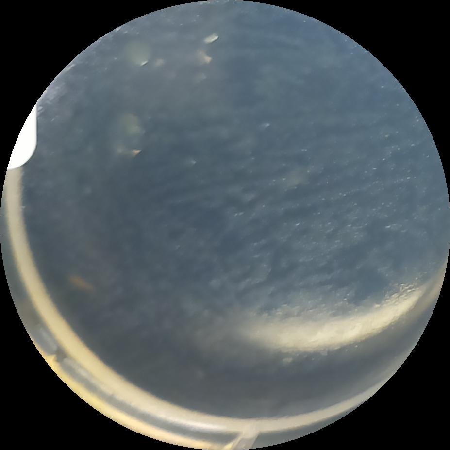 KOA (koa-pcc5d) - Roboflow Universe