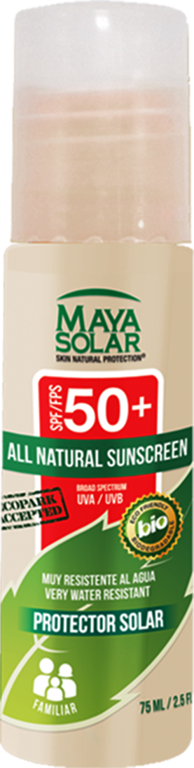 mayasolar v2 Object Detection Model by mayasolar