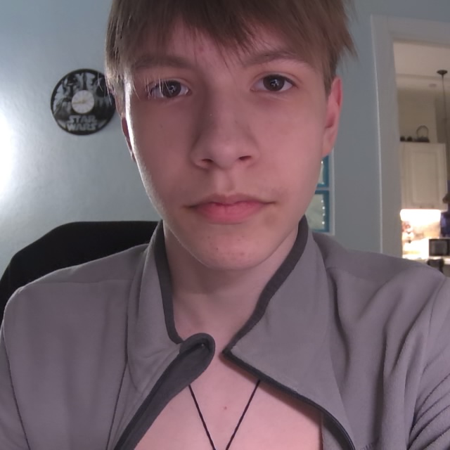 ASVT Object Detection Dataset by DatasetFaces