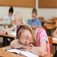 Classroom Behavior Object Detection Dataset by Ho Chi Minh University ...