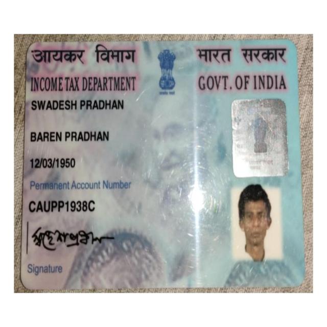 Pan Card Object Detection Dataset by Chaitresh