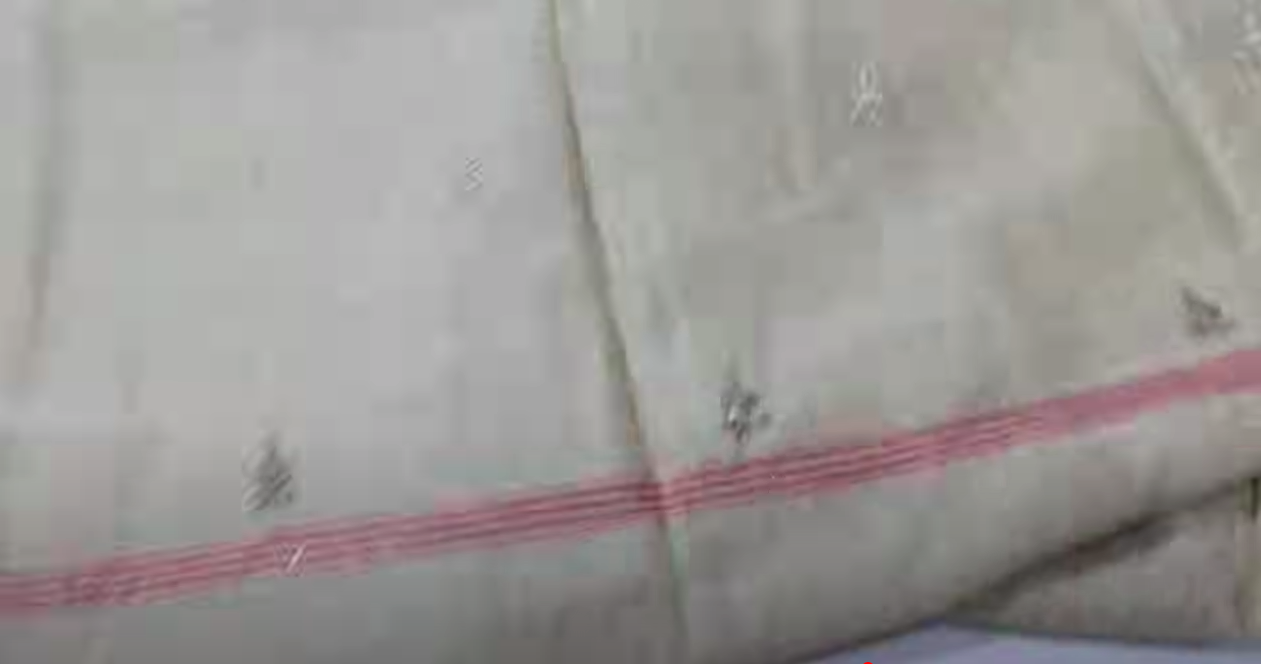 Custom Workflow Object Detection Object Detection Dataset And Pre