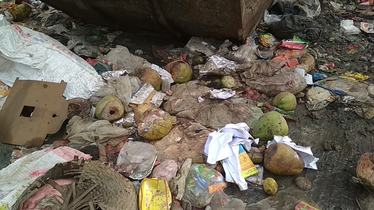 Waste classification video Object Detection Dataset and Pre-Trained Model by Final year project