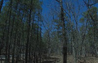 example (example-xnwdz) - Roboflow Universe