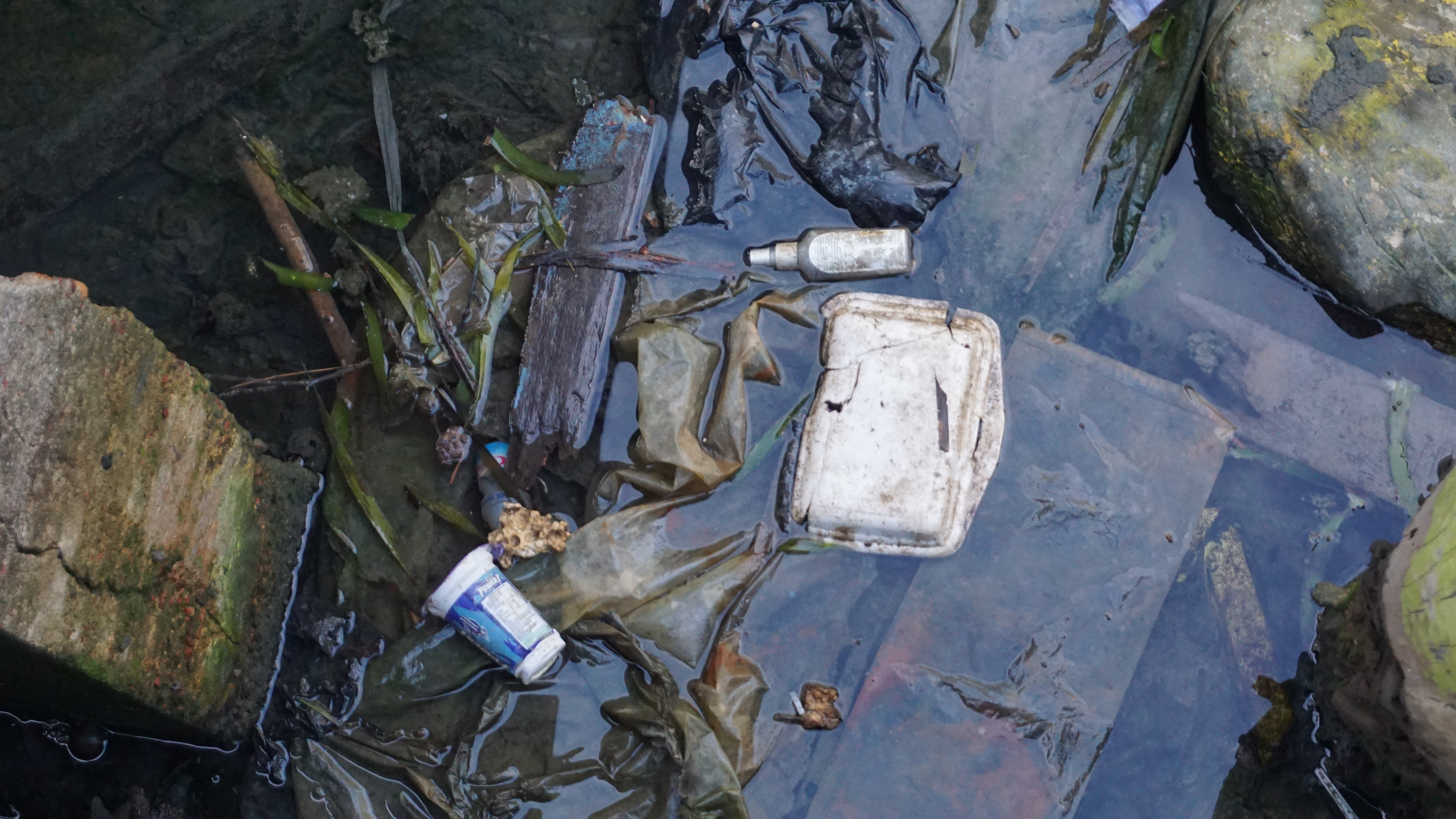 Makanan dan Minuman Object Detection Dataset by Marine Debris
