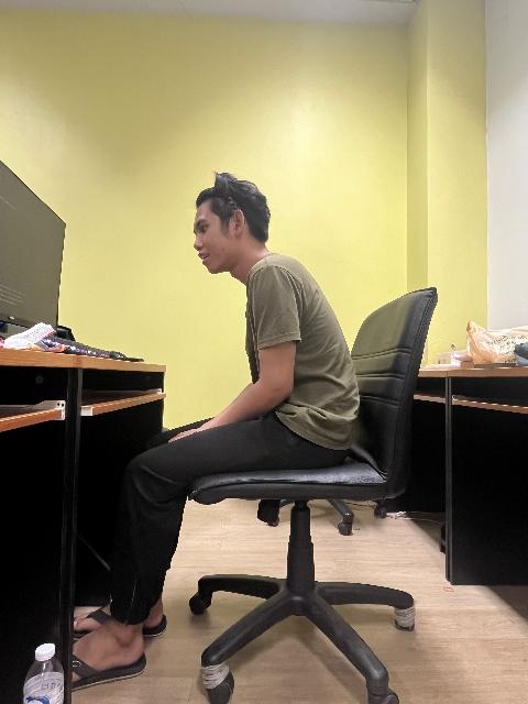 posture_corrector Instance Segmentation Model by try