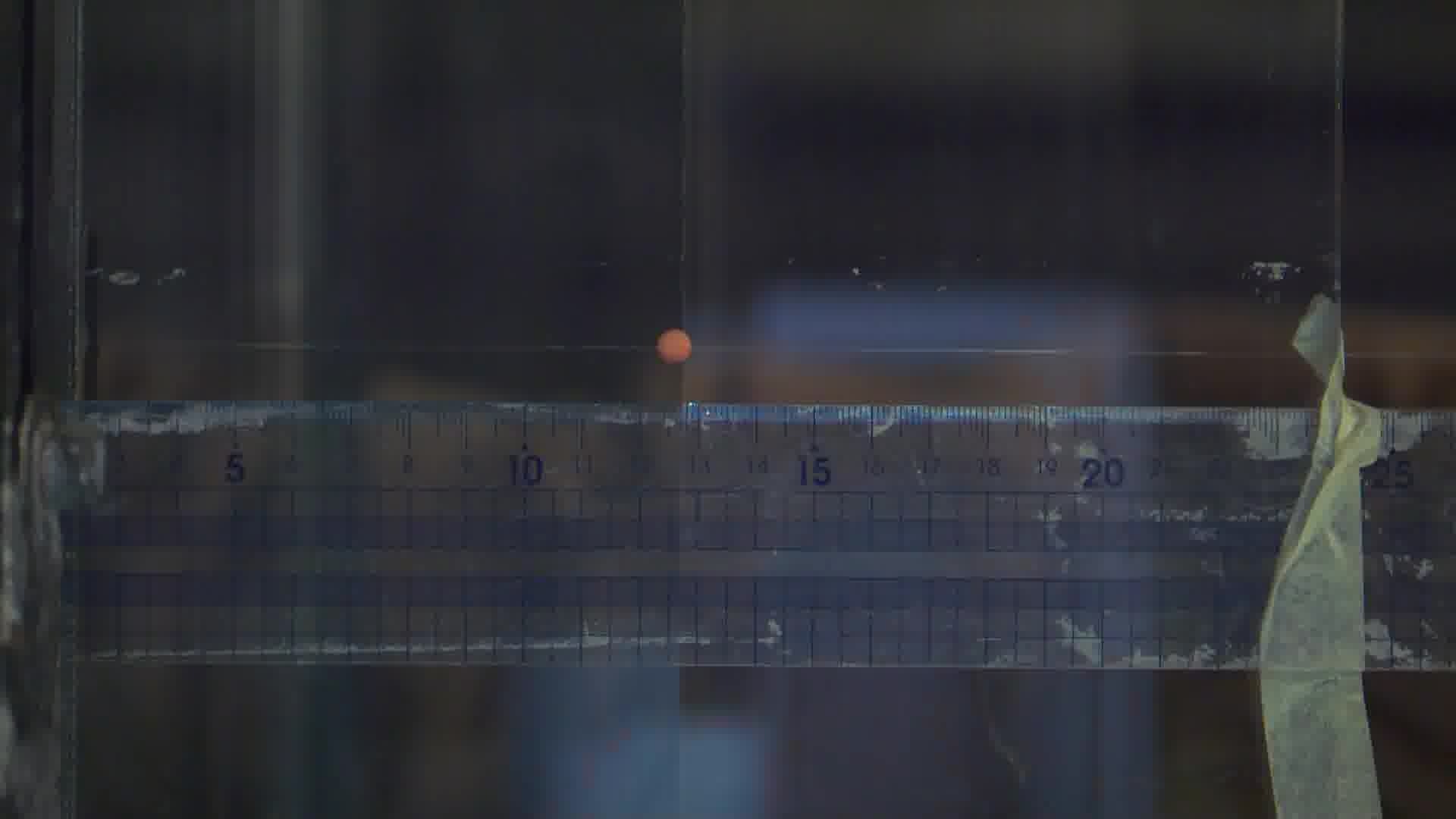 ball Object Detection Dataset by fish