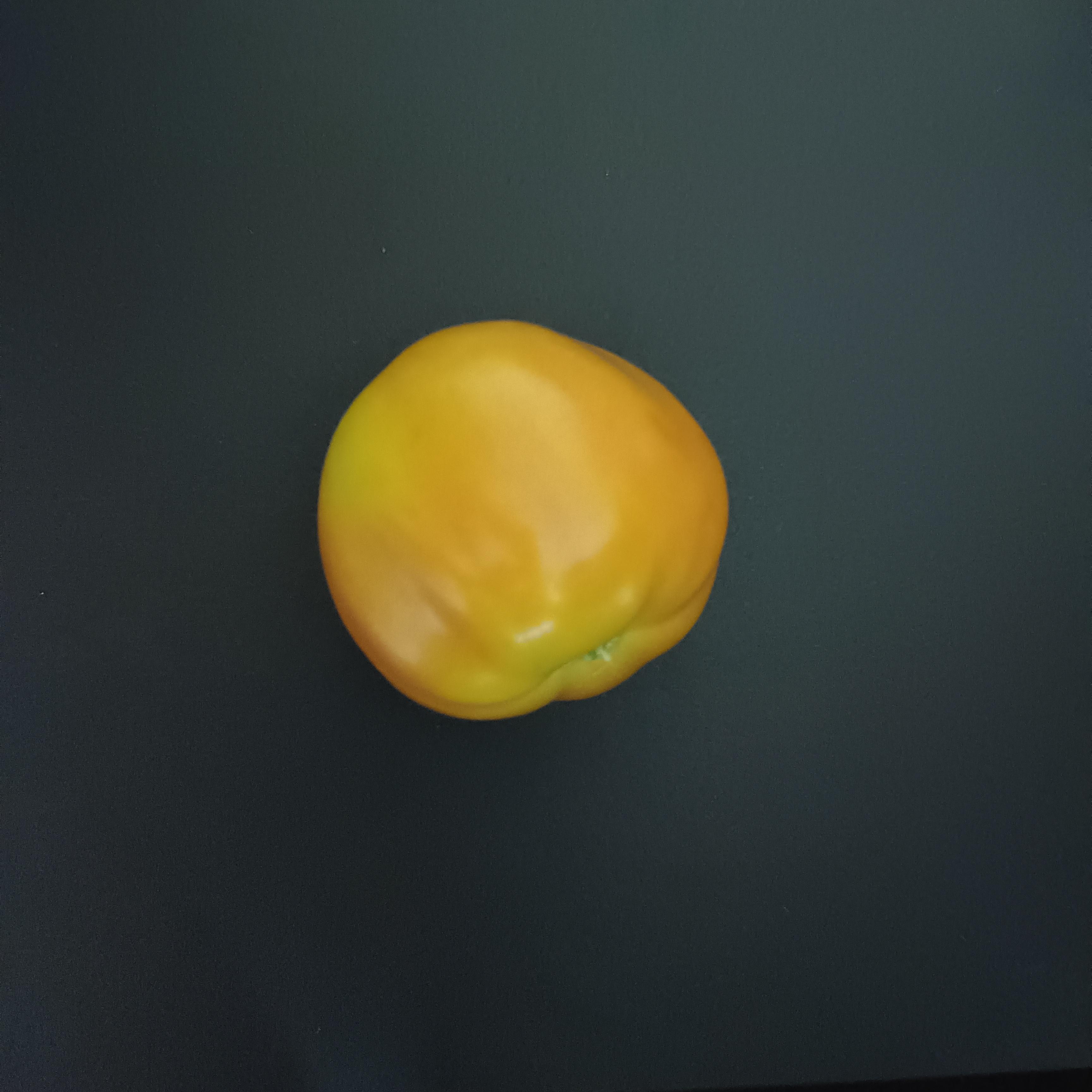 Tomato Object Detection Model by a