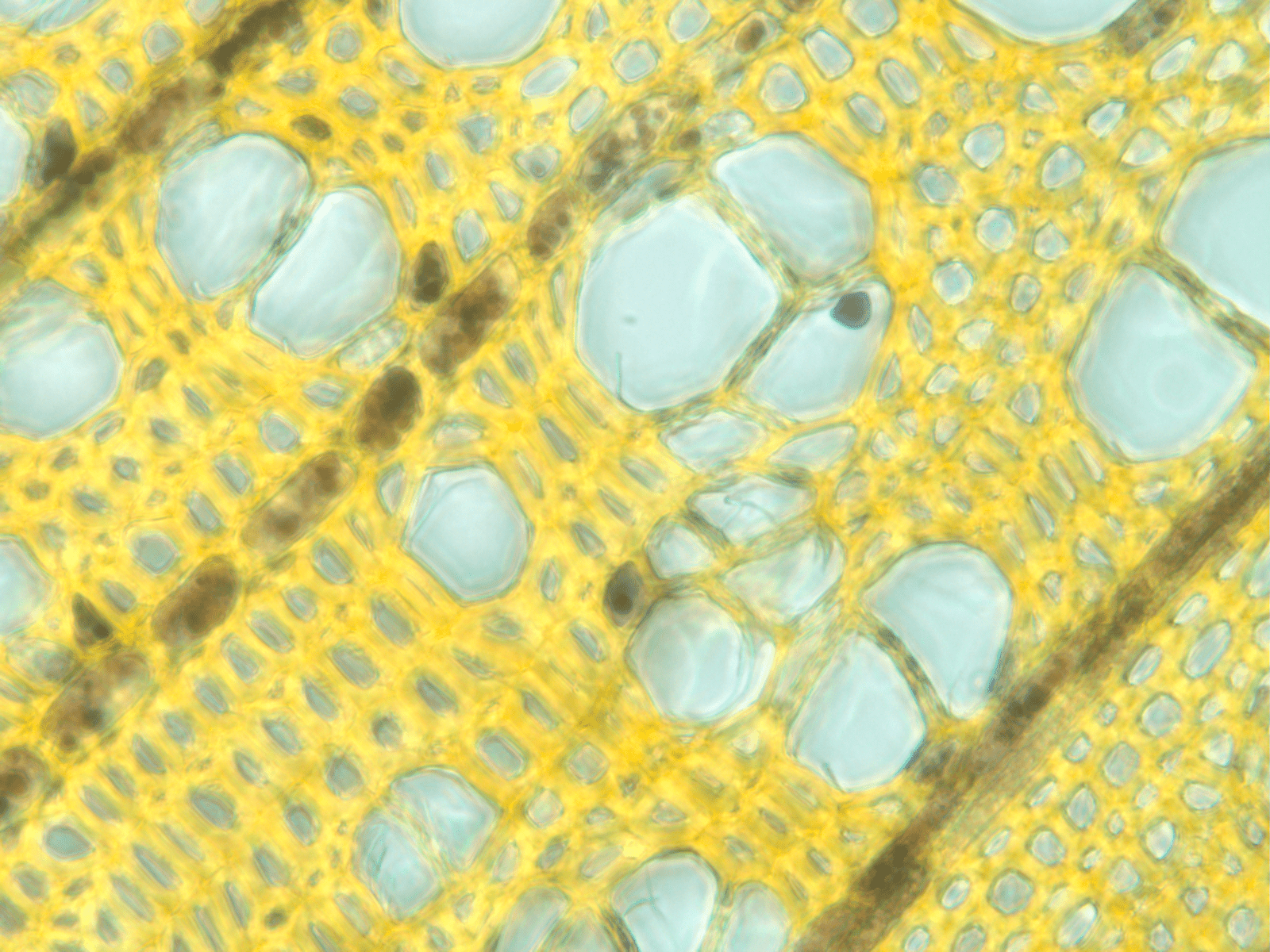 Vessel Detection Object Detection Dataset By Pepperdine University