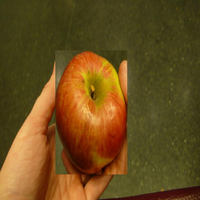 Lab2 Object Detection Dataset by datasets