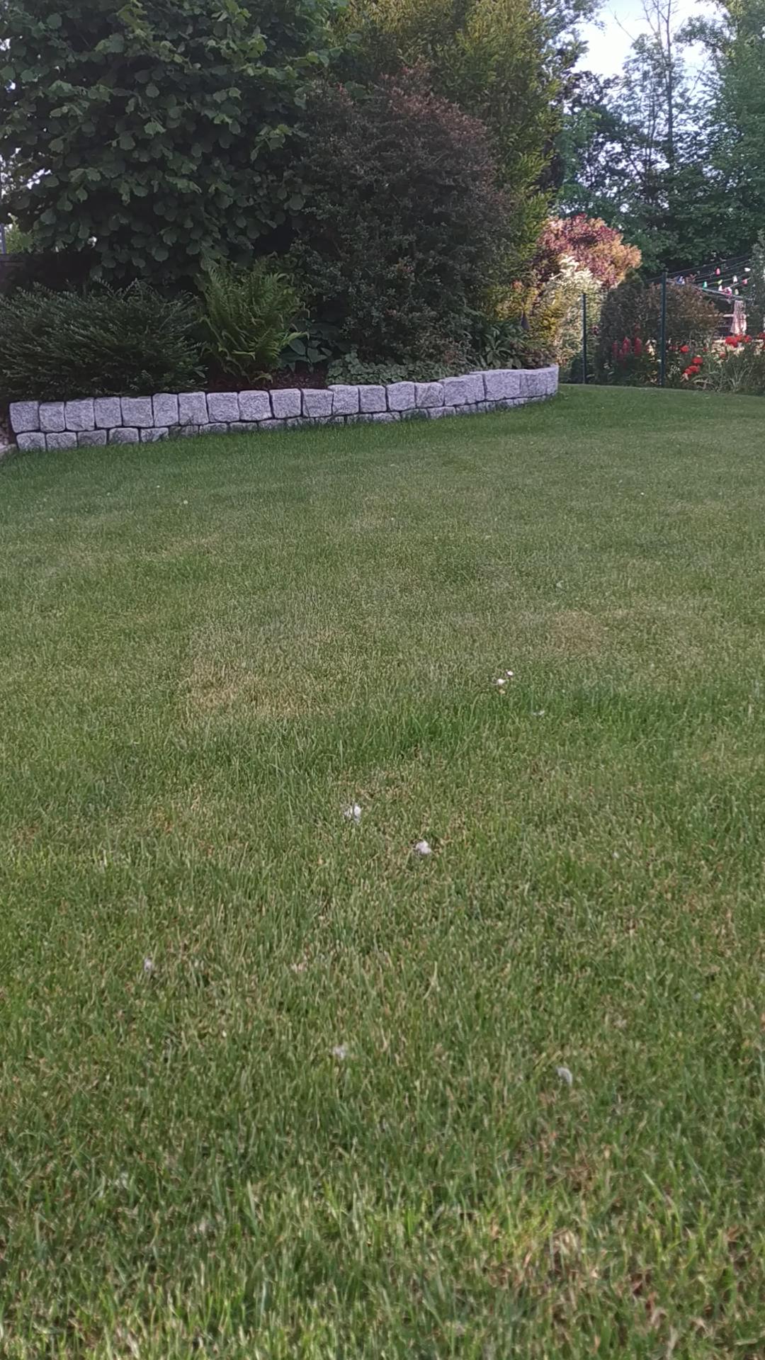 Michael Ringer - Roboflow Universe