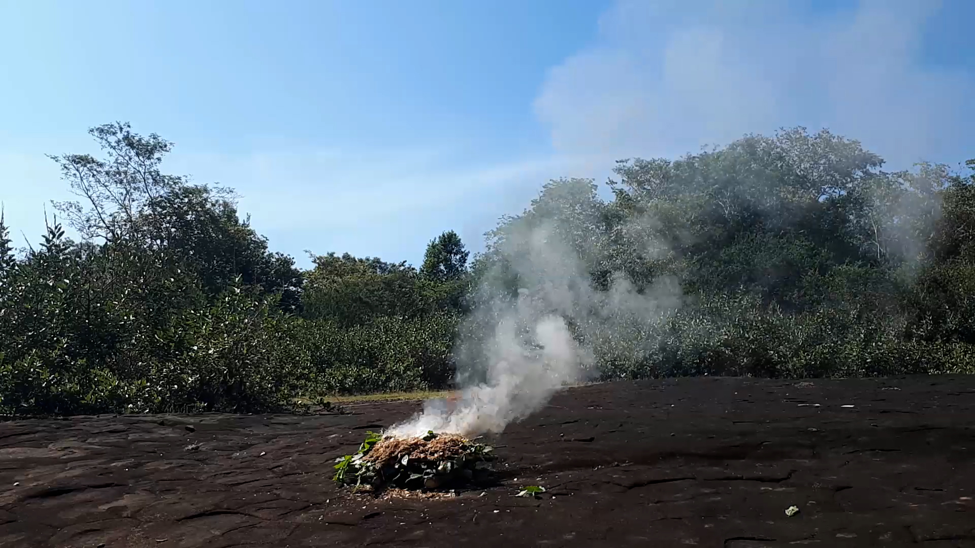 Fire Detection Object Detection Dataset By University